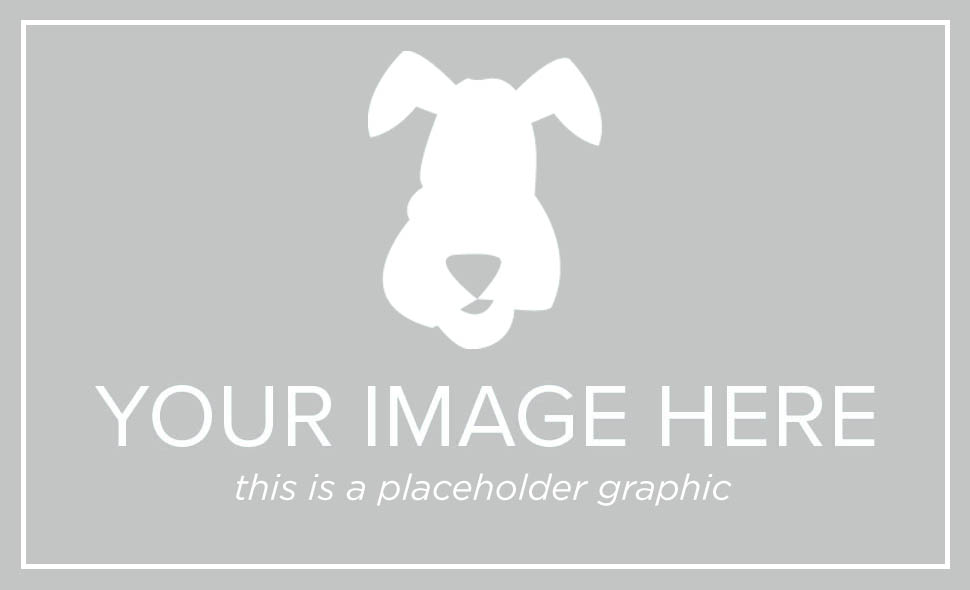 dog-placeholder - Bellissimo